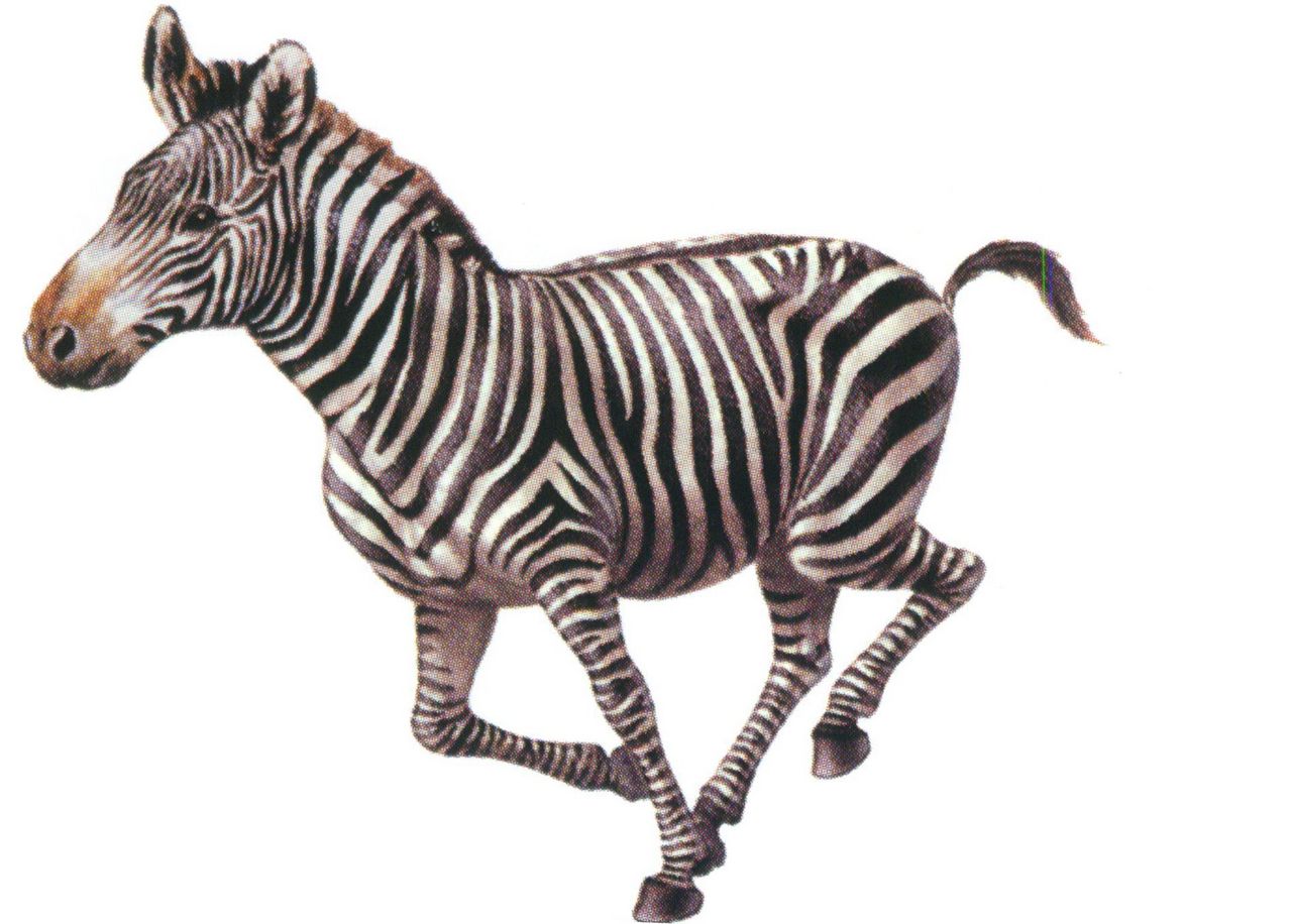 Animale salbatice - Resurse multimedia – terapie in autism