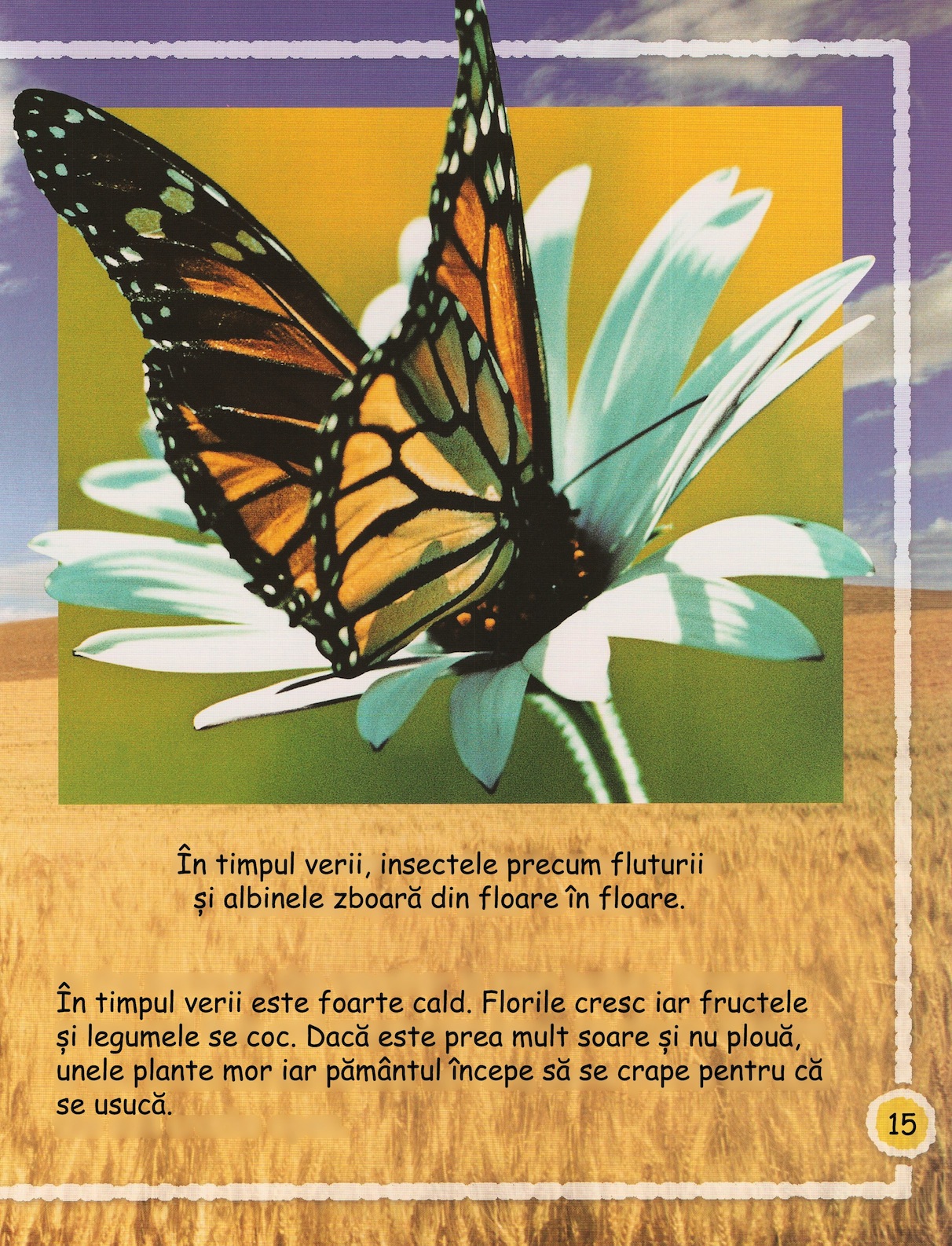 Soarele, ploaia, vantul, zapada - Resurse multimedia – terapie in autism