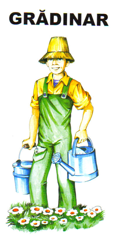 Meserii - Resurse multimedia – terapie in autism