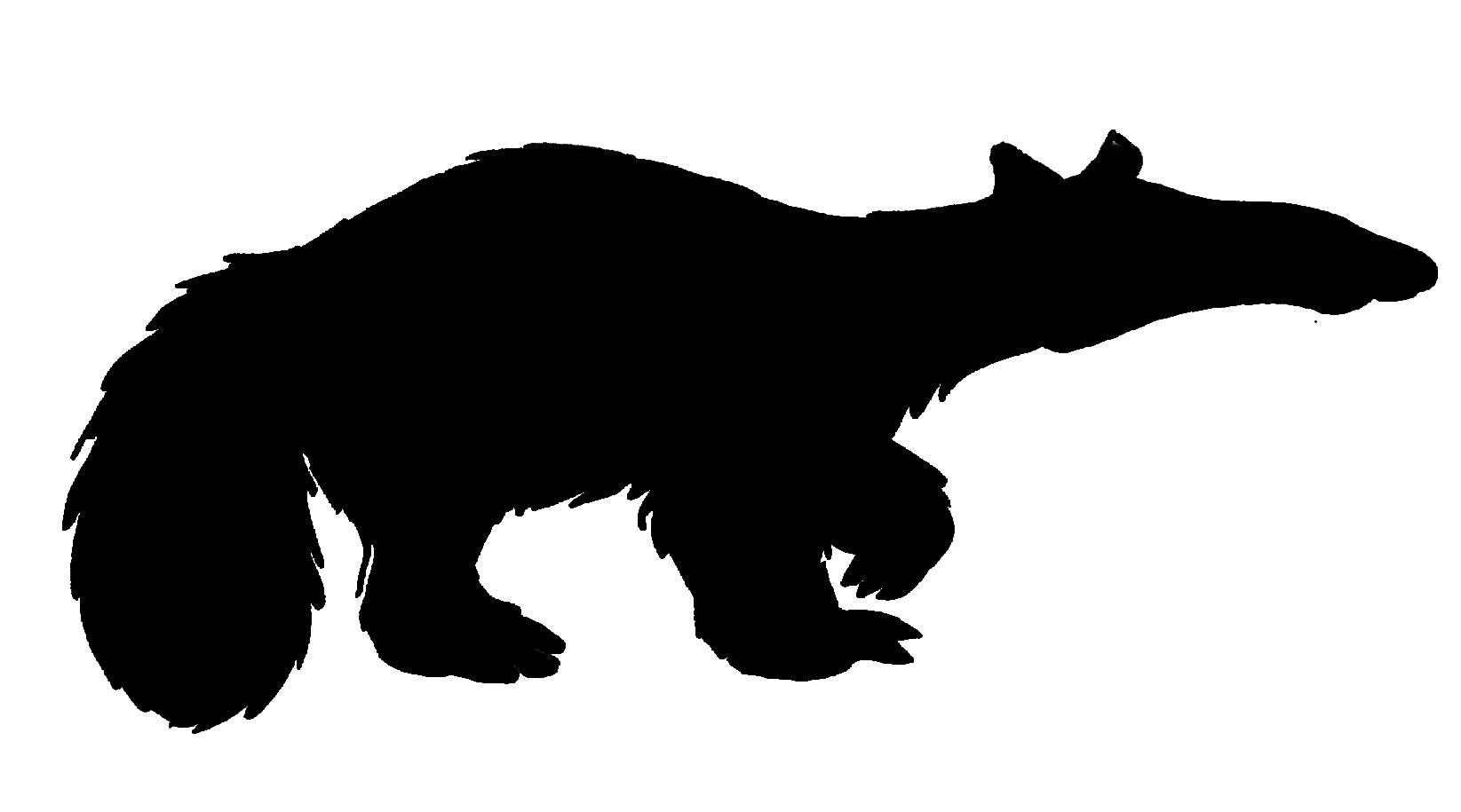 Animale domestice – imagini si sunete - Resurse multimedia – terapie in ...