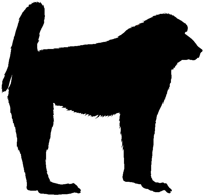 Animale domestice – imagini si sunete - Resurse multimedia – terapie in ...