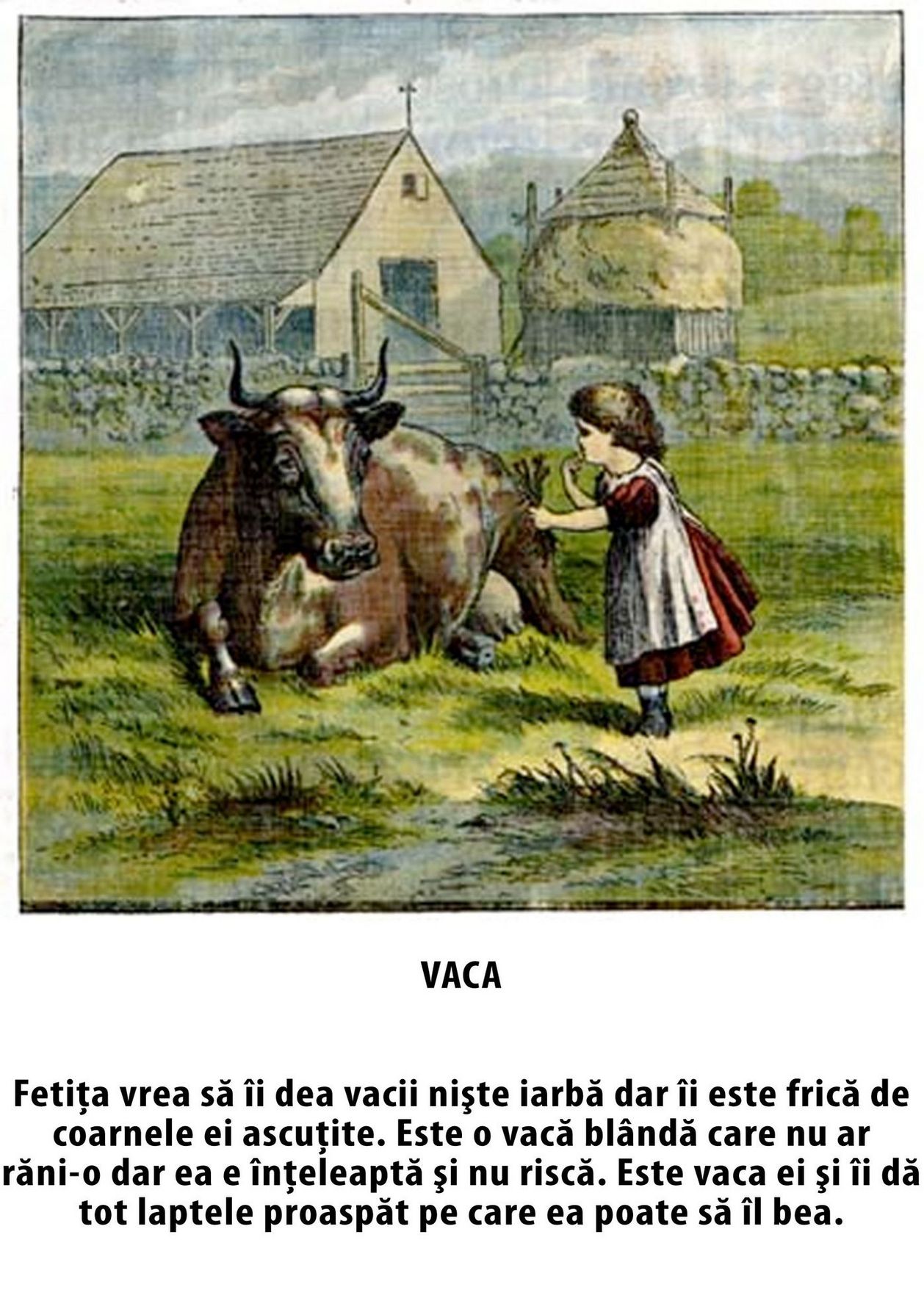 Povesti - Resurse multimedia – terapie in autism