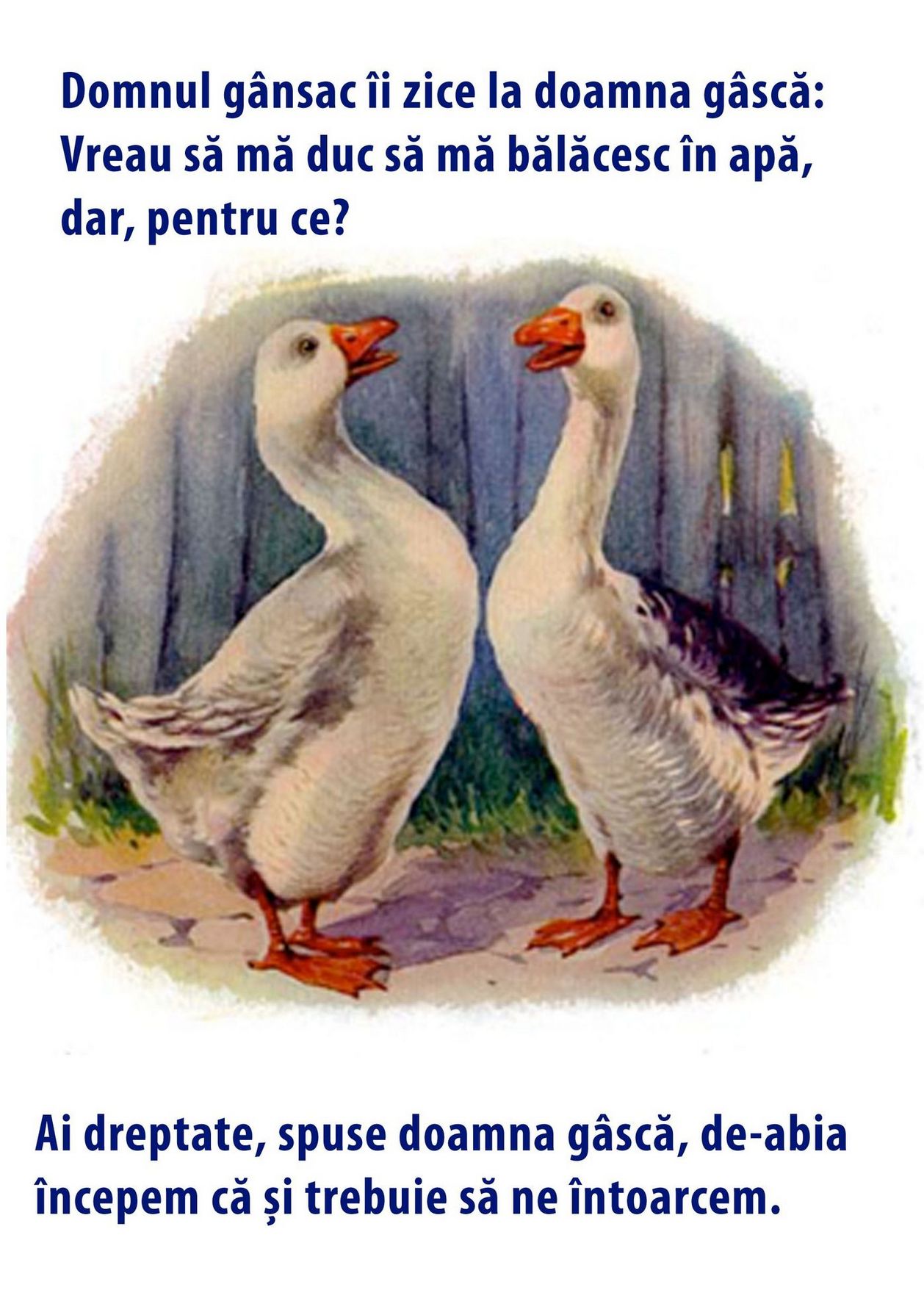 Povesti - Resurse multimedia – terapie in autism