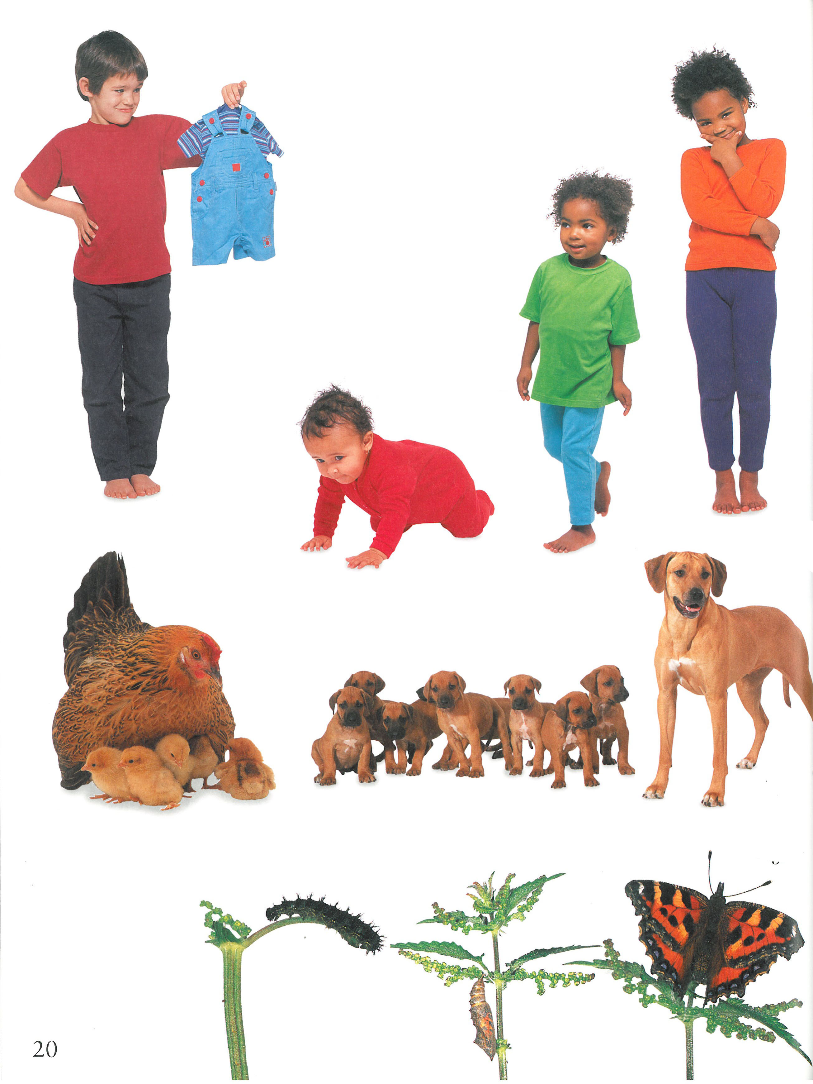 Actiuni - Resurse multimedia – terapie in autism